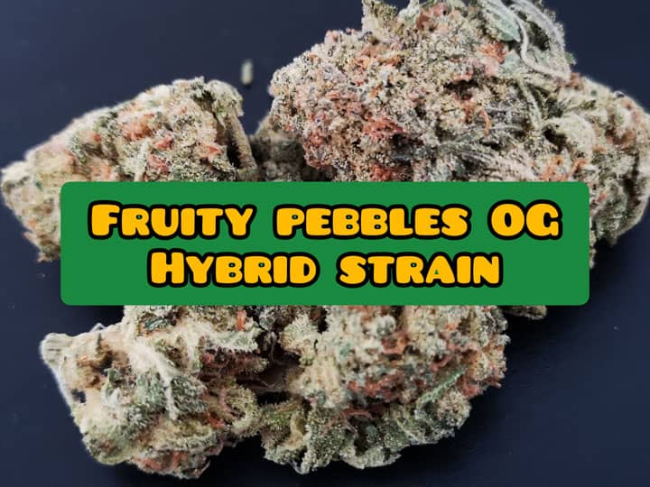 Fruity Peebles OG Strain Review & Info | The PotAdvisor Fruity Peebles OG Strain Review & Info | The PotAdvisor
